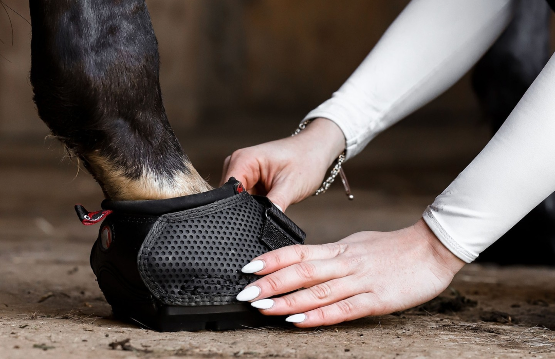 How To Measure: Cavallo Hoof Boots – GS Equestrian